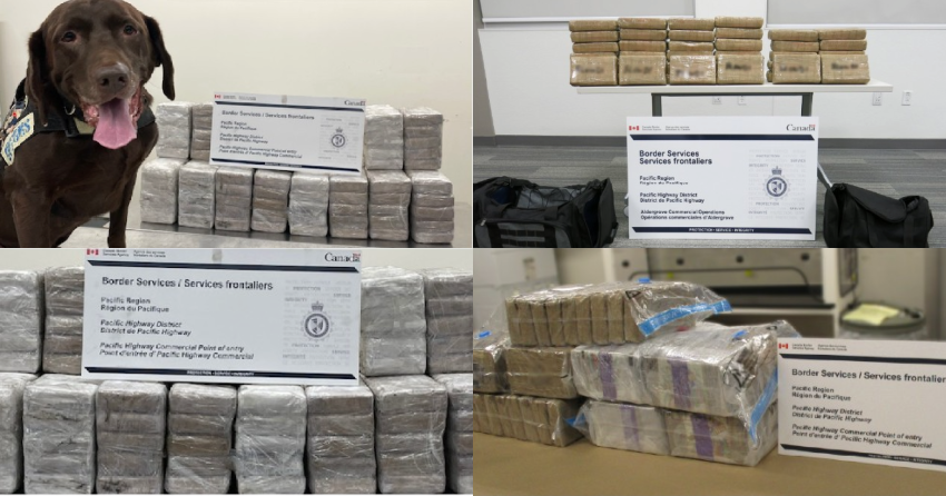 CBSA officers, detector dogs find 246 kg of cocaine at BC borders