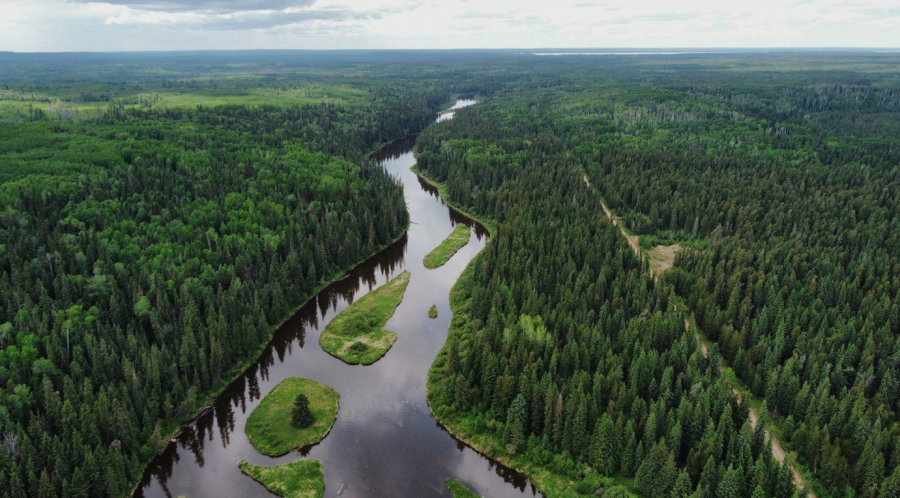 Carney-Smith deal will bring carbon capture to Cold Lake, but they don ...