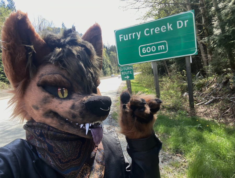 Furries at Furry Creek: What’s going on at BC highway sign?