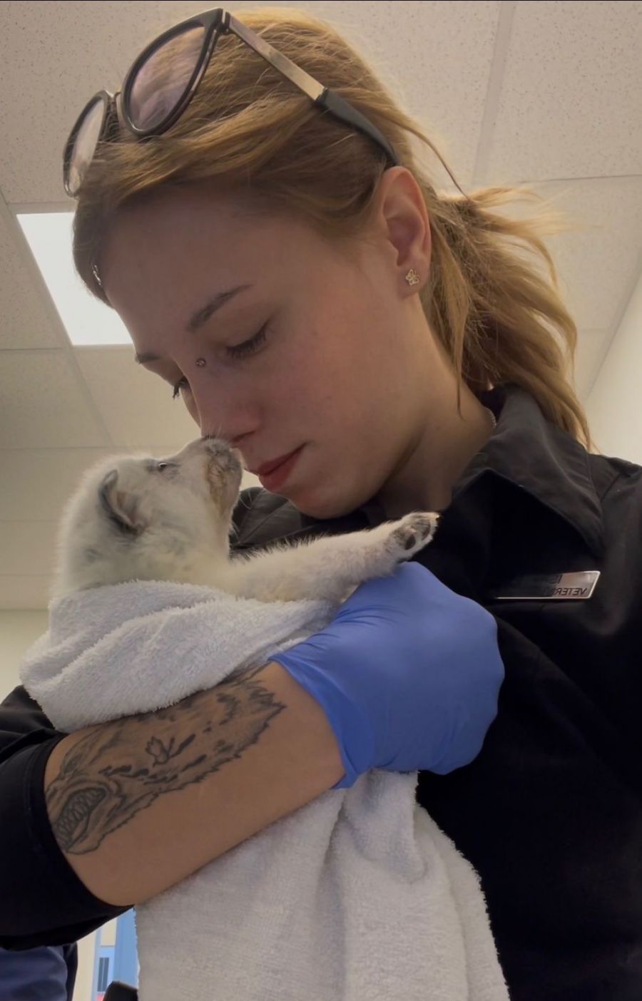 Okanagan Humane Society caring for puppies after crash, death of mother