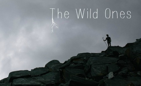 The Wild Ones